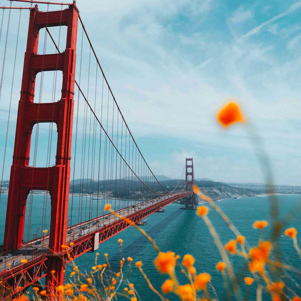 Shram Swikriti online – Royal Hetauda Service